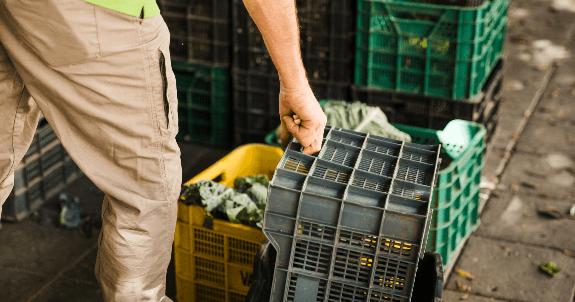 How to recycle in Germany: expat guide | Profee.com